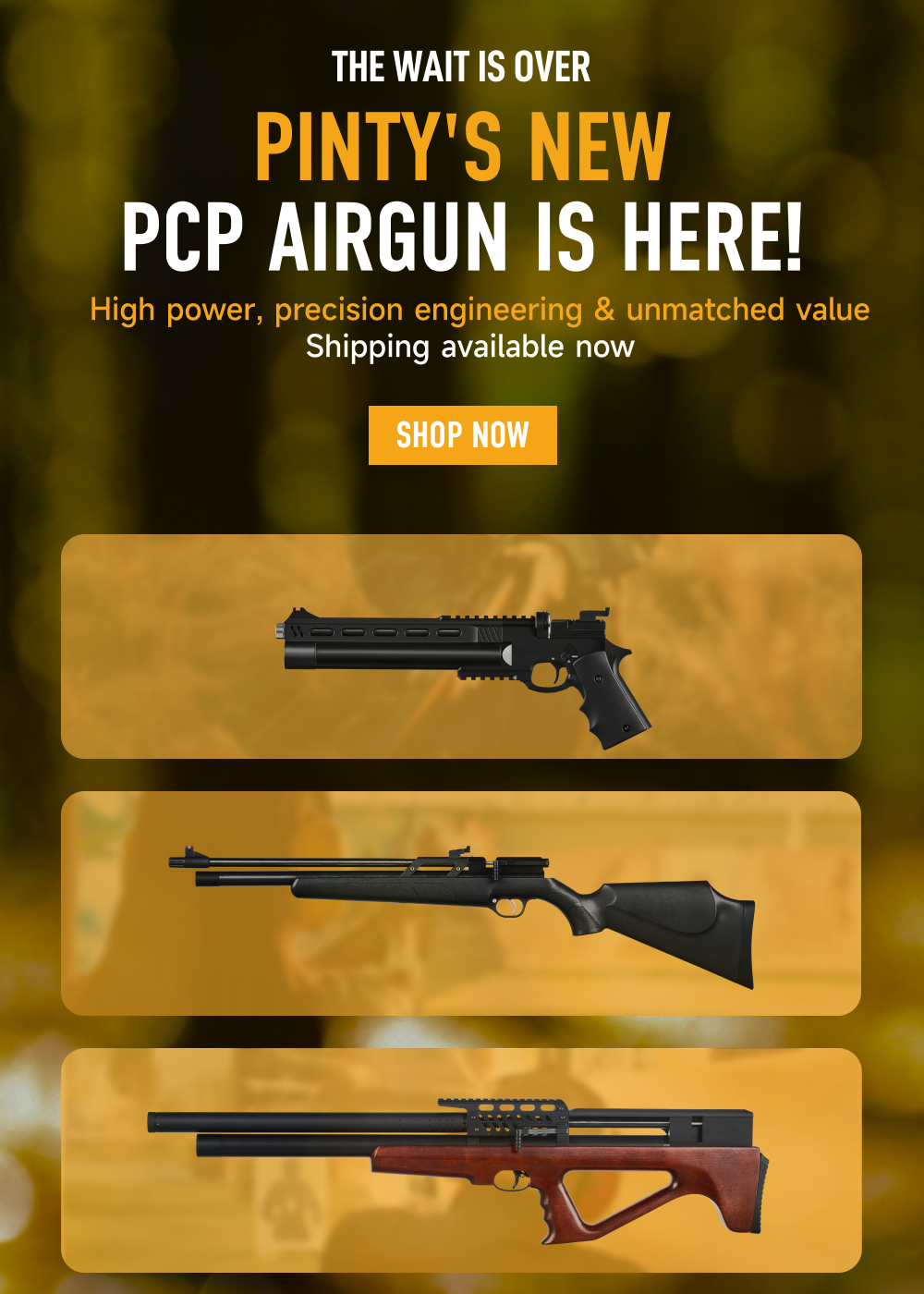 Premium Optics for Hunting & Tactical Shooting | Pinty Rifle Scopes