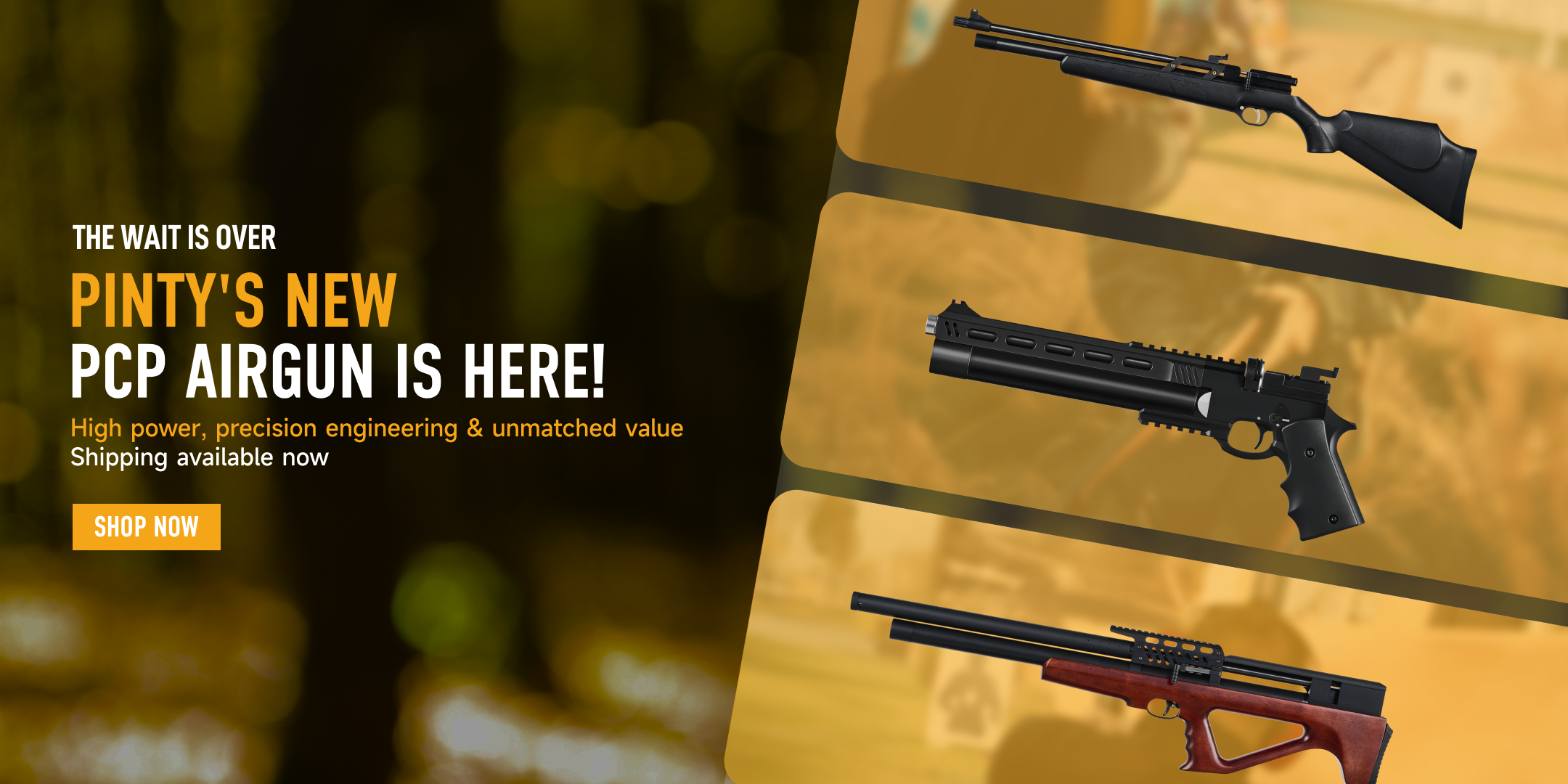 Premium Optics for Hunting & Tactical Shooting | Pinty Rifle Scopes