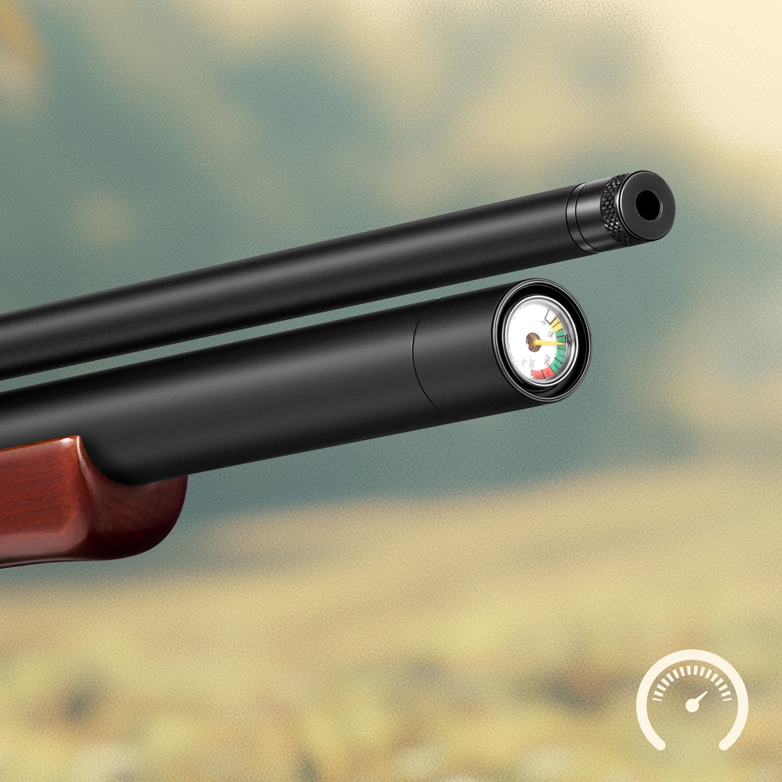 10 Pellet .22Cal PCP Pellet Gun Air Rifles High Power Airgun for Hunti